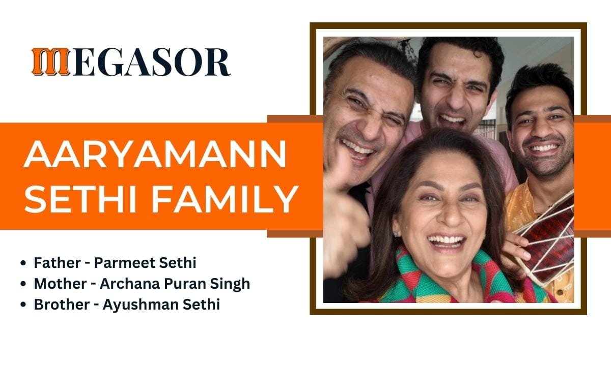 Aaryamann Sethi Biography: Age, Family, Career, Net Worth, - Megasor